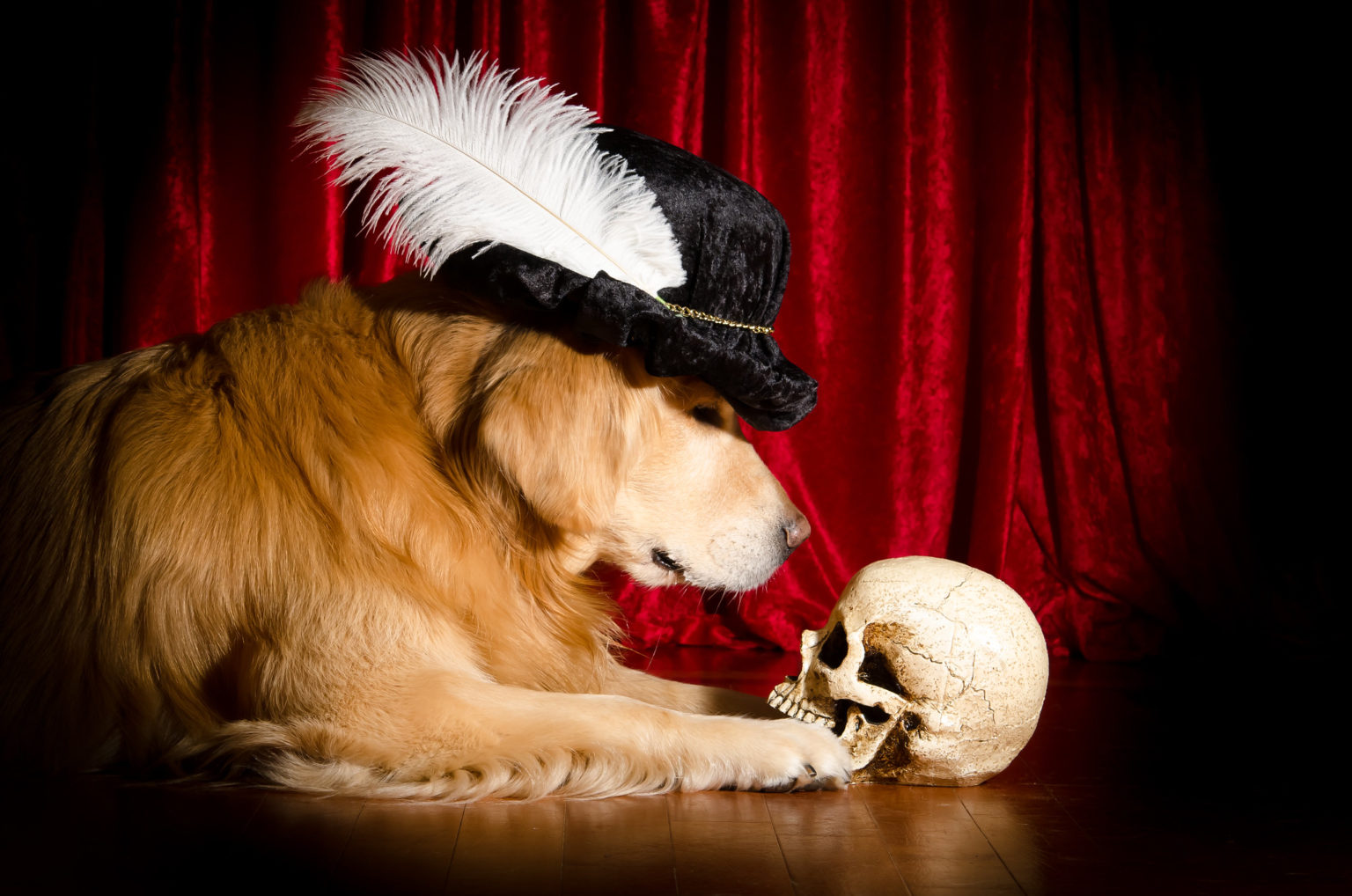 What Nixon Knew About Hamlet (and when he knew it!) | Shakespeare Geek